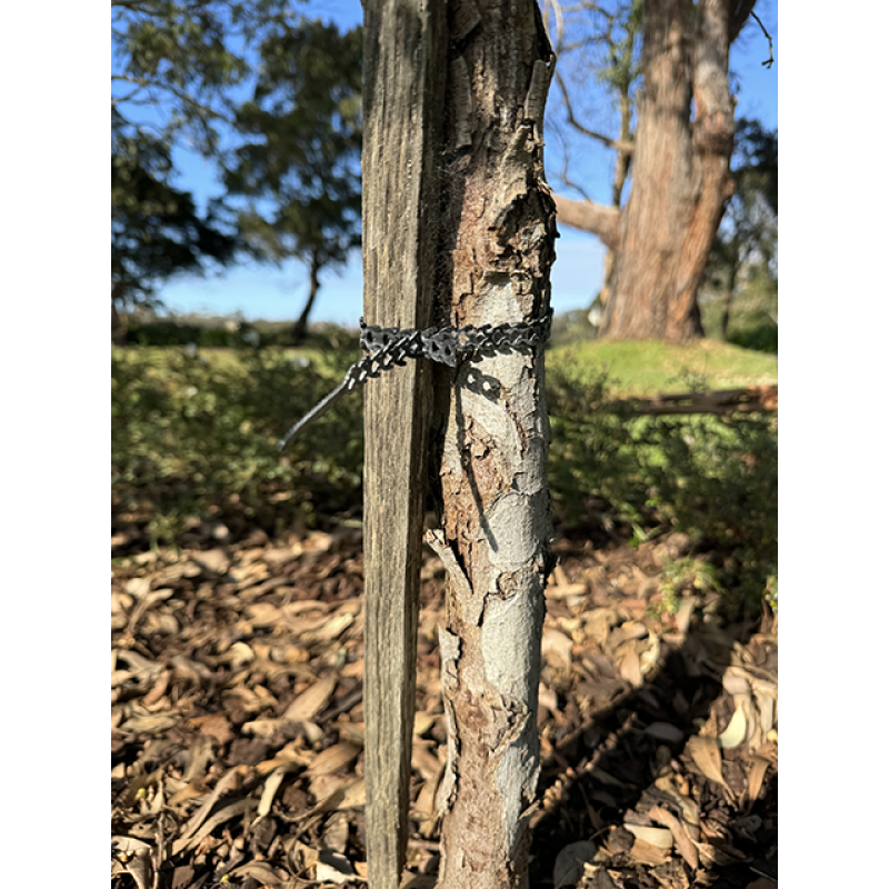 Rapstrap 48 Pack Black 300mmx10mm